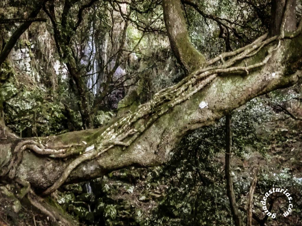 El Monasterio de Tina… muchos enigmas escondidos entre sus ruinas ...
